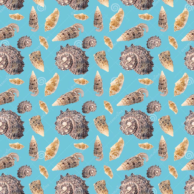 Pattern of a Large Number of Sea Shells on a Blue Background. Stock ...