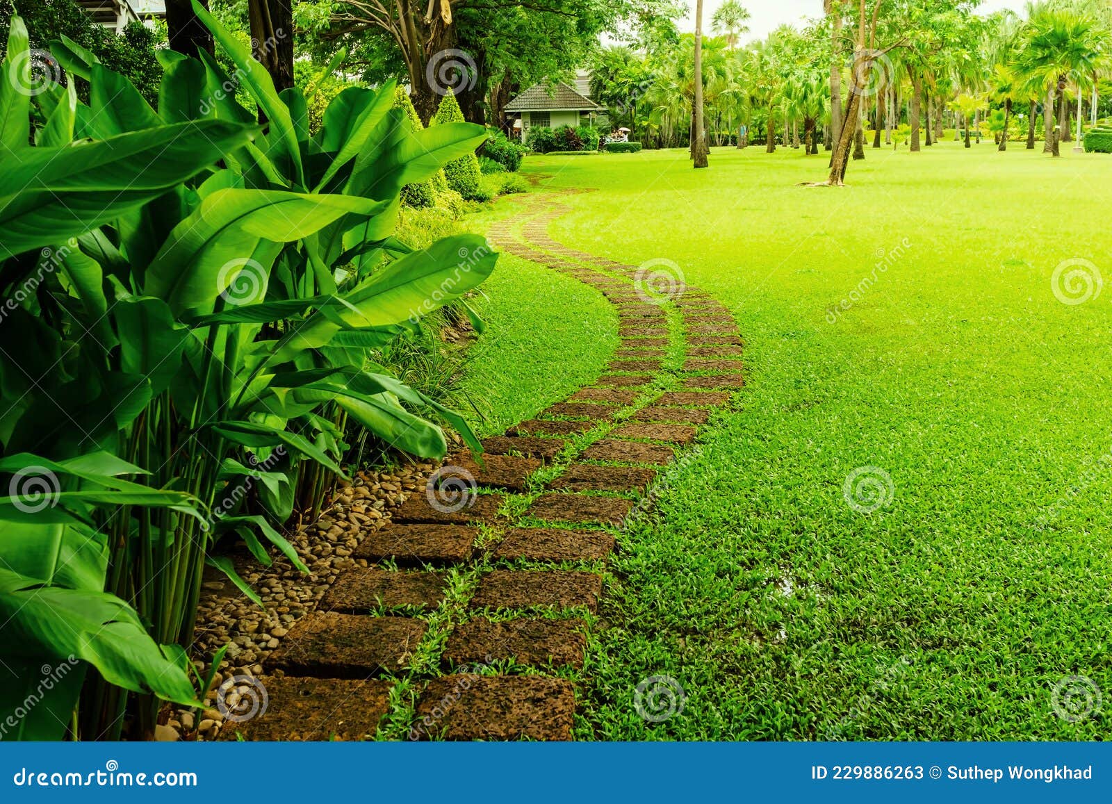 Pattern of Laterite Stepping Stone on a Green Lawn Backyard in the ...