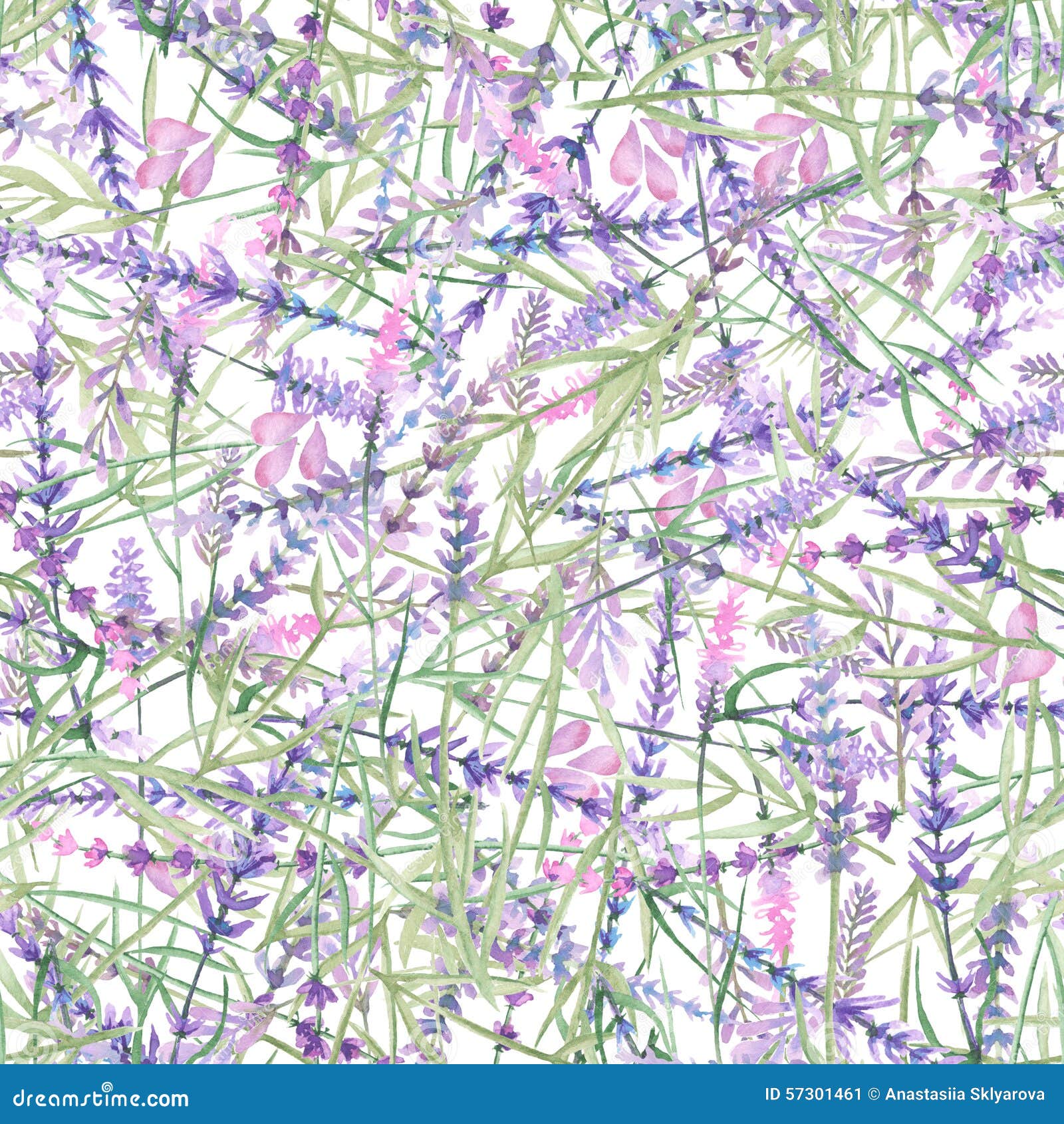 Pattern with lavender stock illustration. Illustration of nature - 57301461