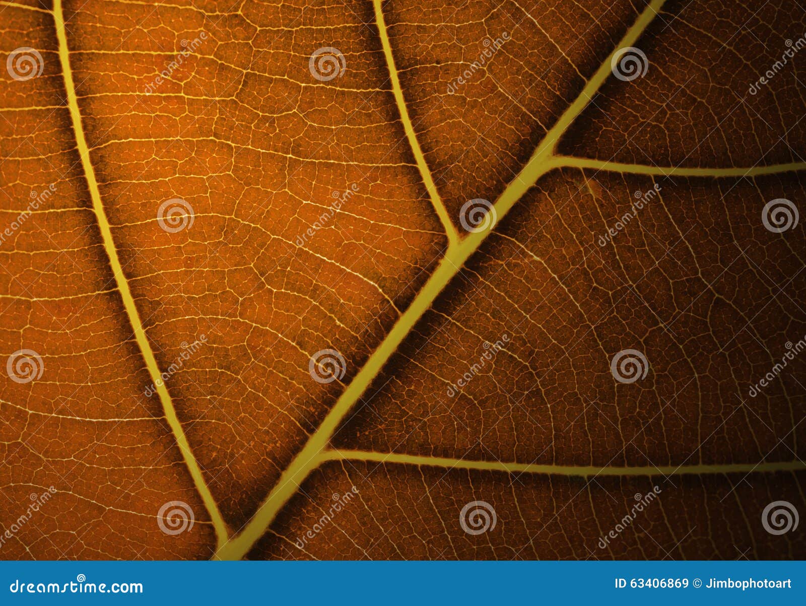 Pattern of Leaf Orange Color in Dark Tone Stock Image - Image of lights ...