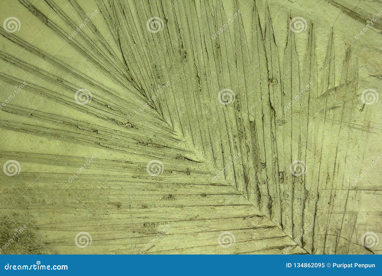 Leaf Pattern Stamped on the Old Walls. Stock Image - Image of beautiful ...