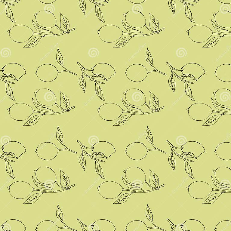 Pattern of Lemon and Lime Graphics on Branches Stock Vector - Illustration of diet, line: 278813796