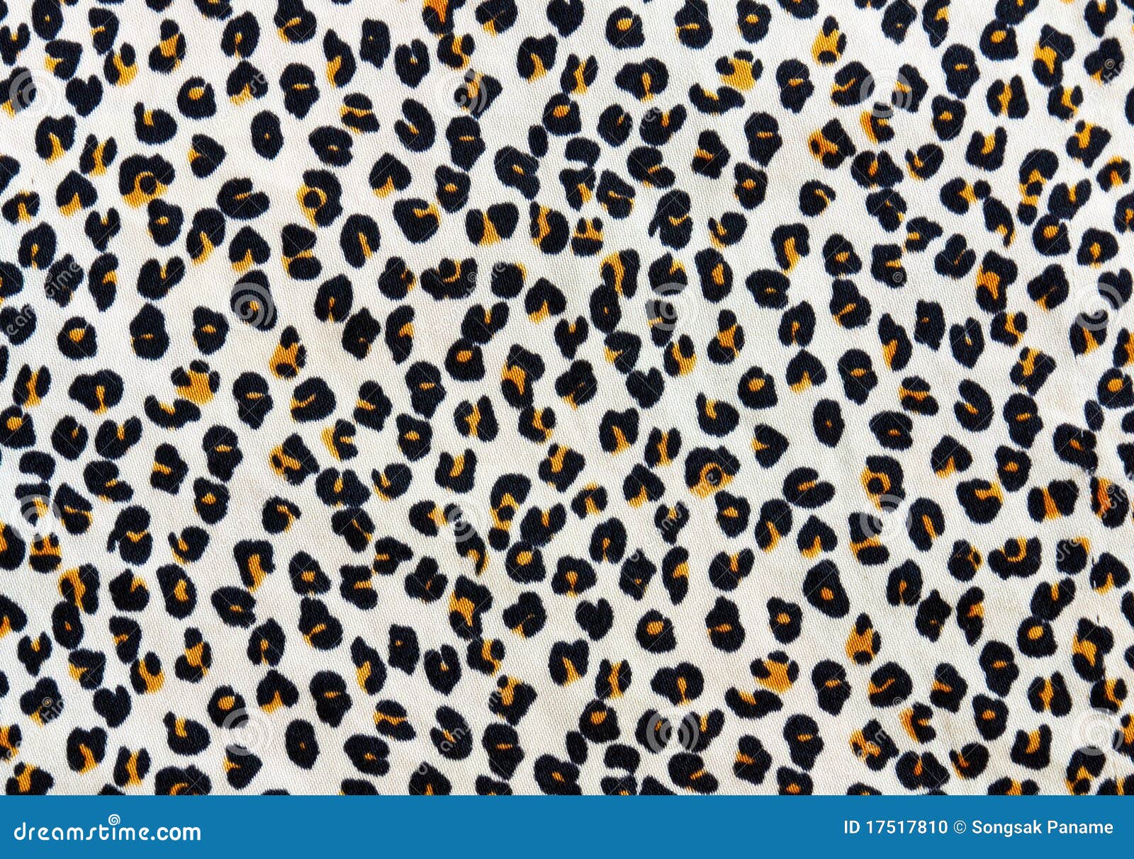 Pattern Leopard Skin stock photo. Image of animal, safari - 17517810