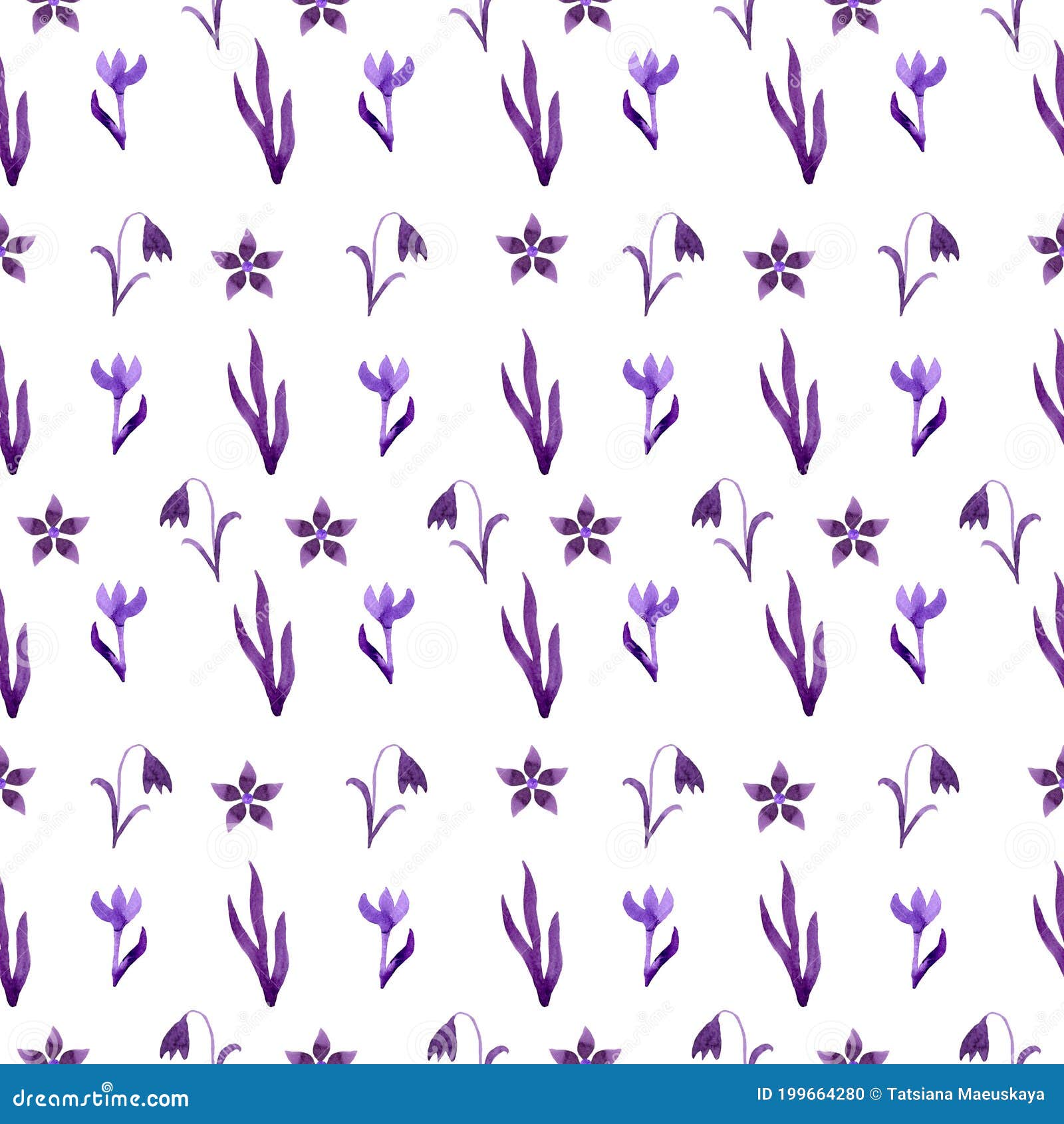 Pattern Lilac Flowers on a White Background Stock Illustration ...