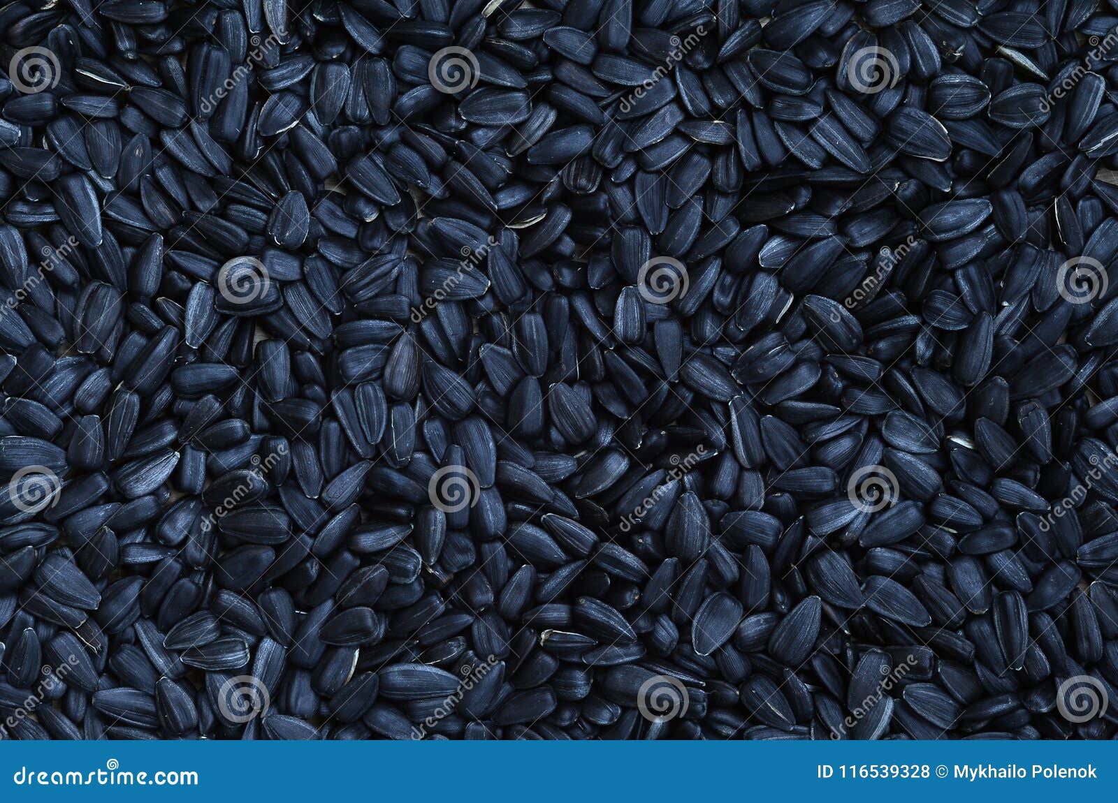 A Pattern of Many Unprocessed Fried Sunflower Seeds in a Black Shell ...