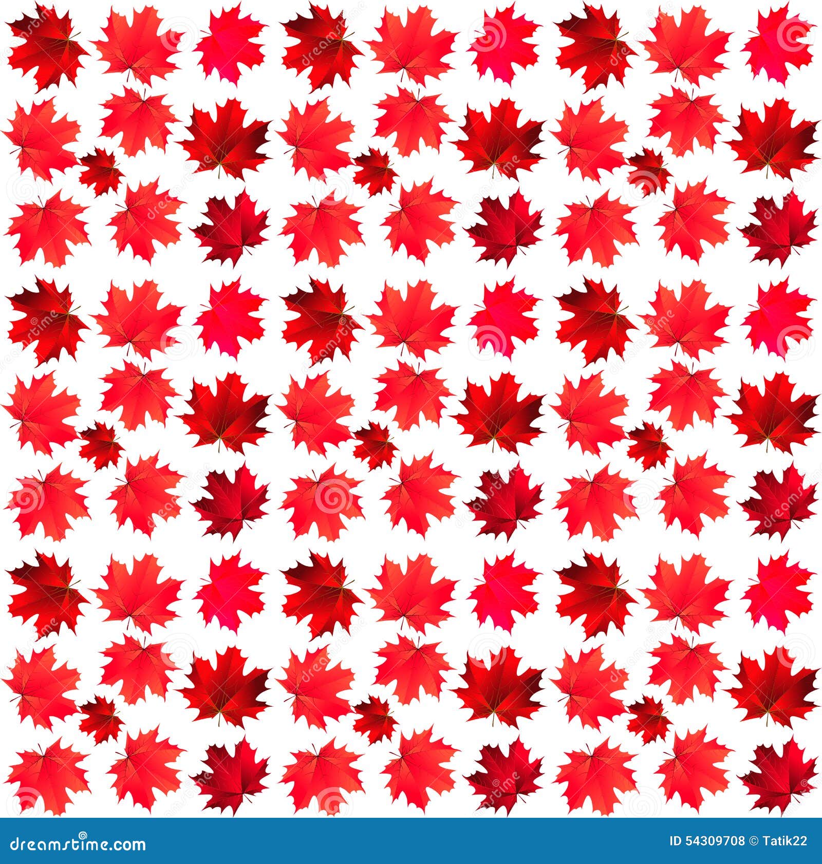 Pattern of maple leaves stock vector. Illustration of cartoon - 54309708