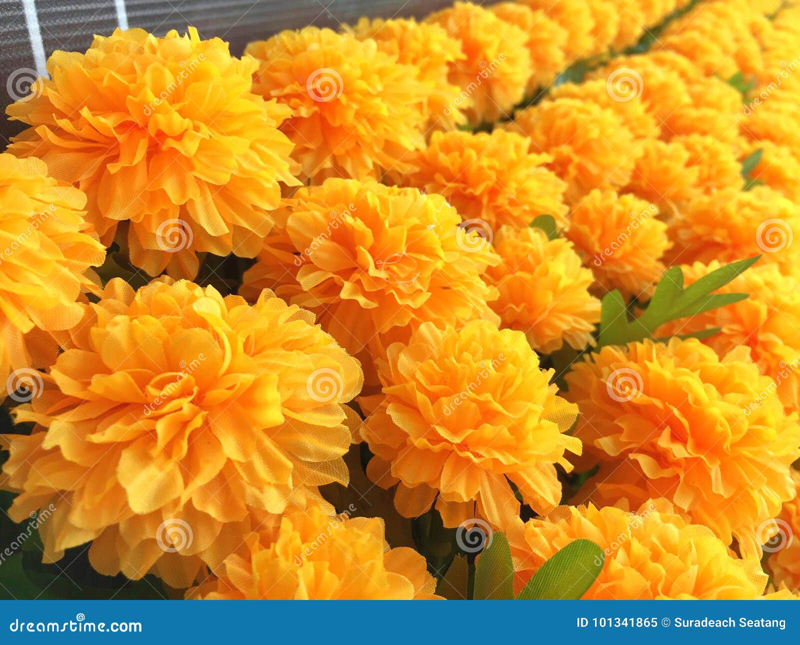 Pattern of Marigold by Fabric Stock Image - Image of season, beauty ...
