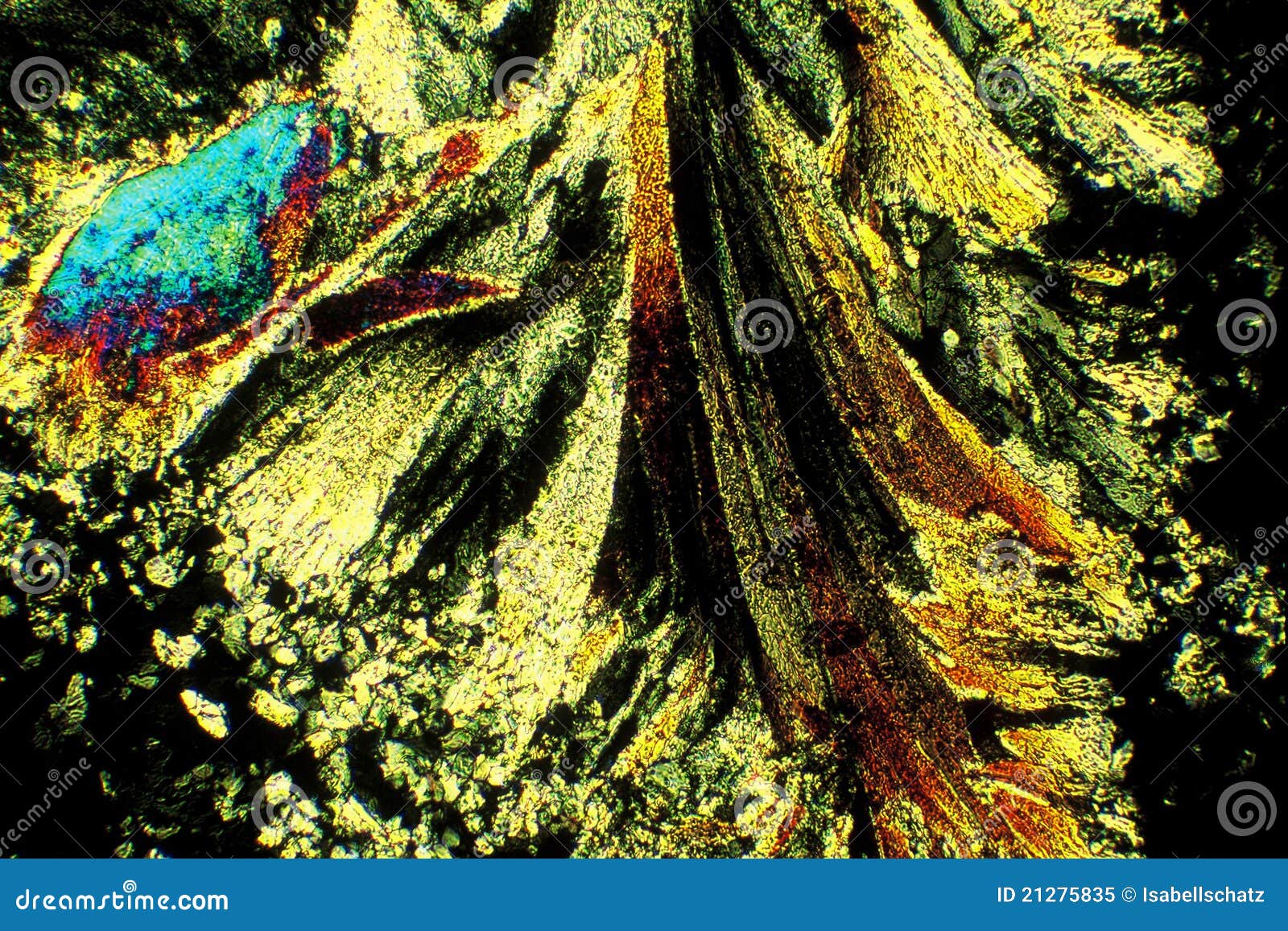 Pattern through the Microscope Stock Image - Image of yellow ...