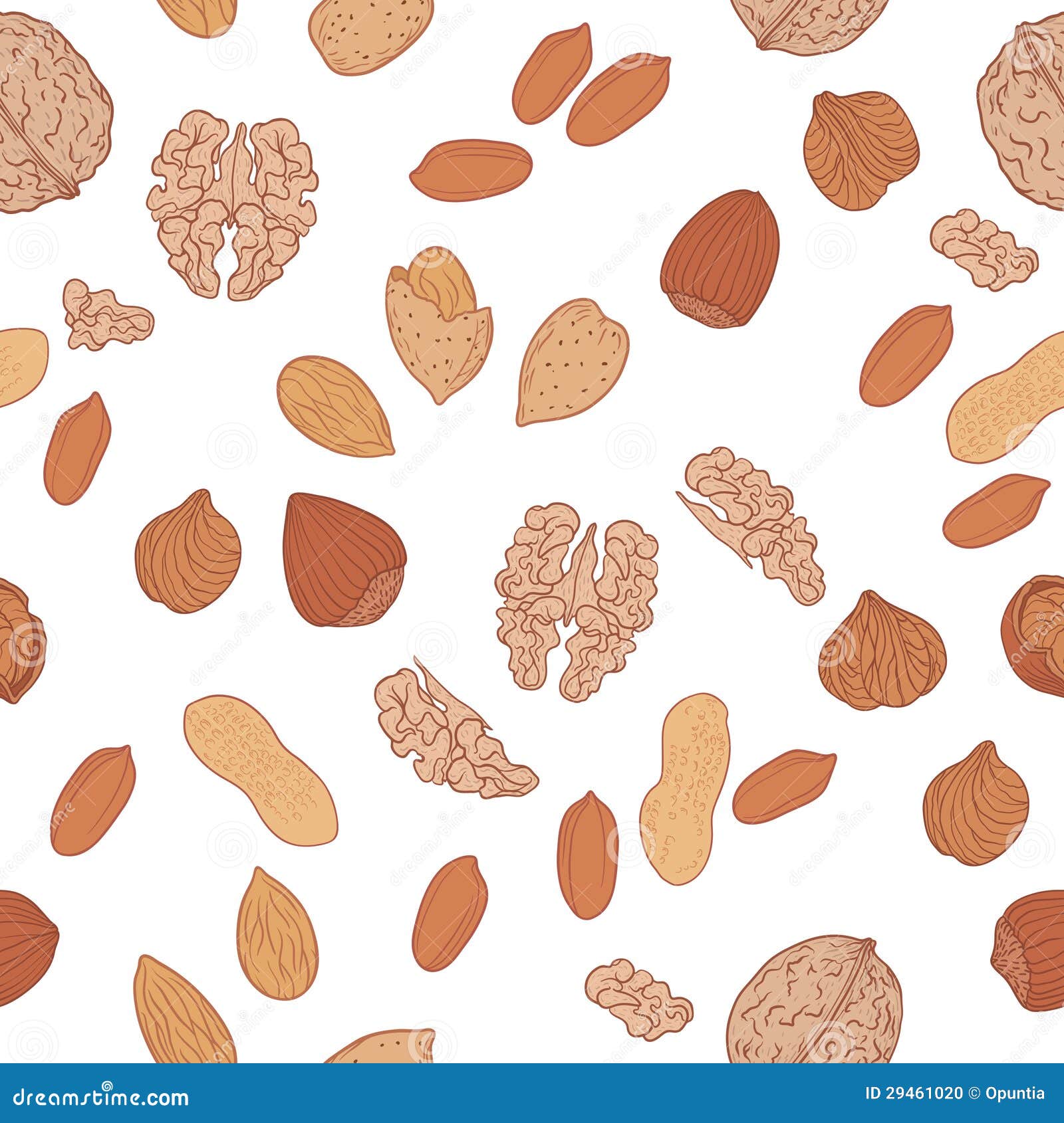 Pattern with mixed nuts stock vector. Illustration of seamless - 29461020
