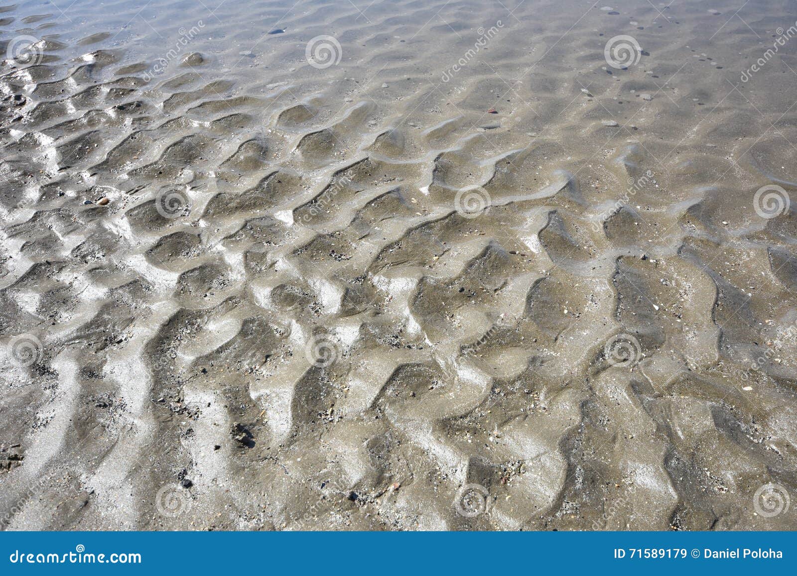 Pattern on muddy beach stock image. Image of sandy, muddy - 71589179