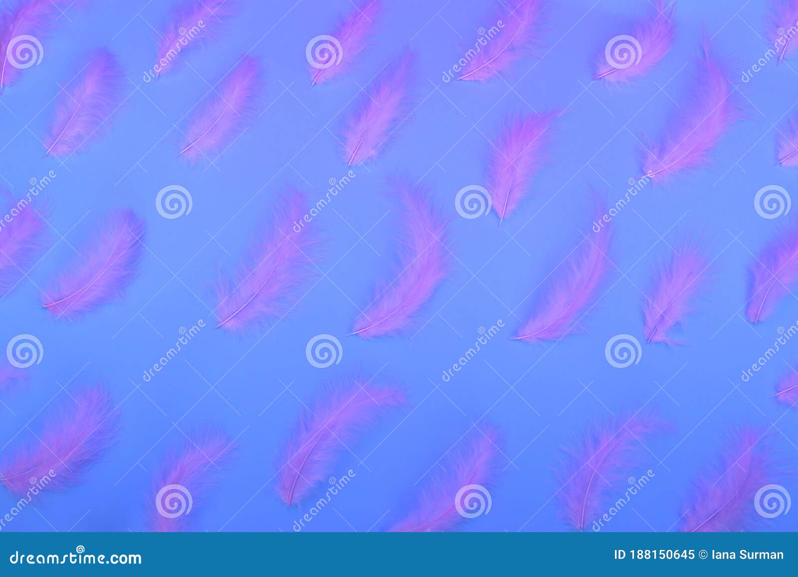 Pattern Neon Background. Pink Feathers on a Neon Blue Background. Copy ...