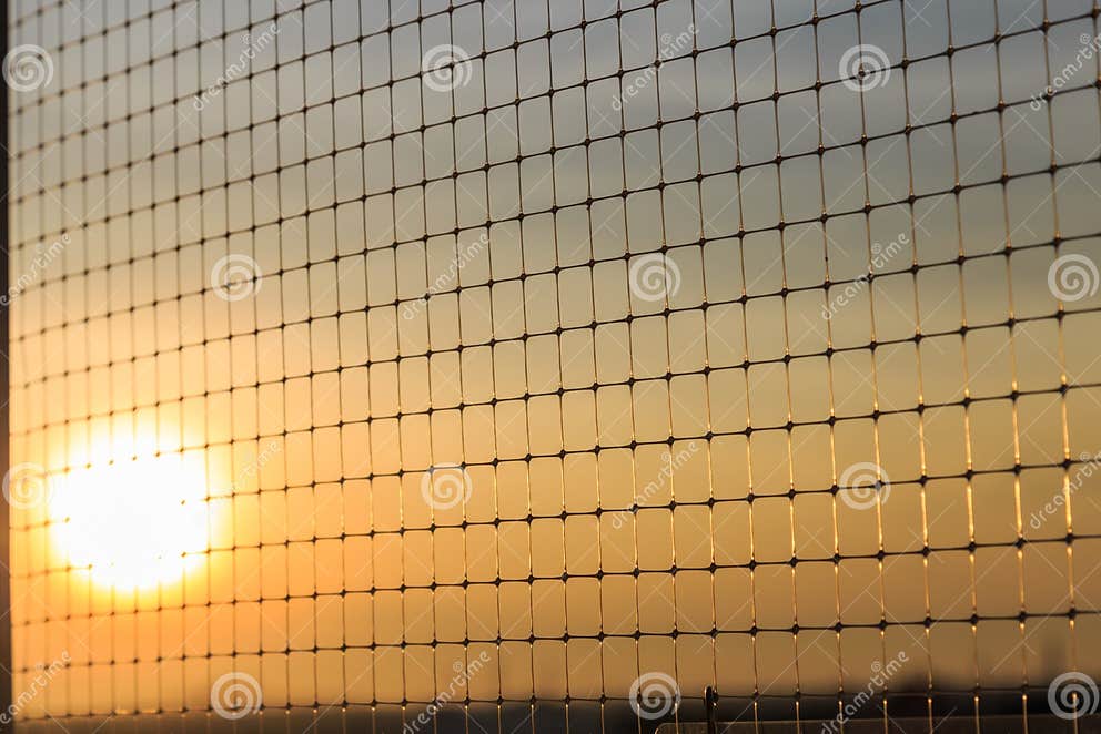 A Pattern of Nylon Mesh with Morning Sun Background. Stock Image ...
