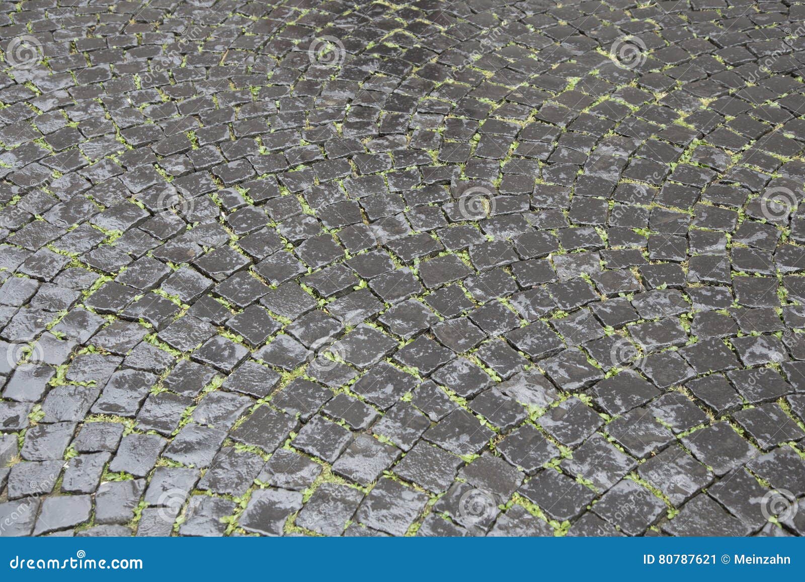 Pattern of Old Cobble Stone Street in Rain Stock Image - Image of ...