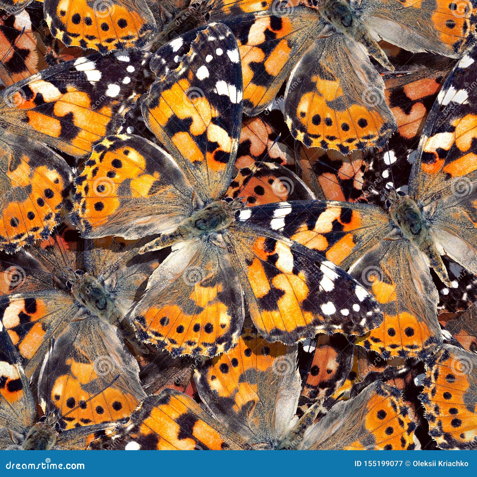 Pattern of Orange Butterflies Texture Background. Butterfly Ornament ...