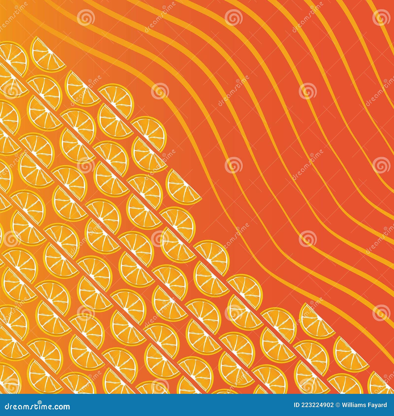 Pattern of Oranges Slices with Lines Stock Vector - Illustration of ...