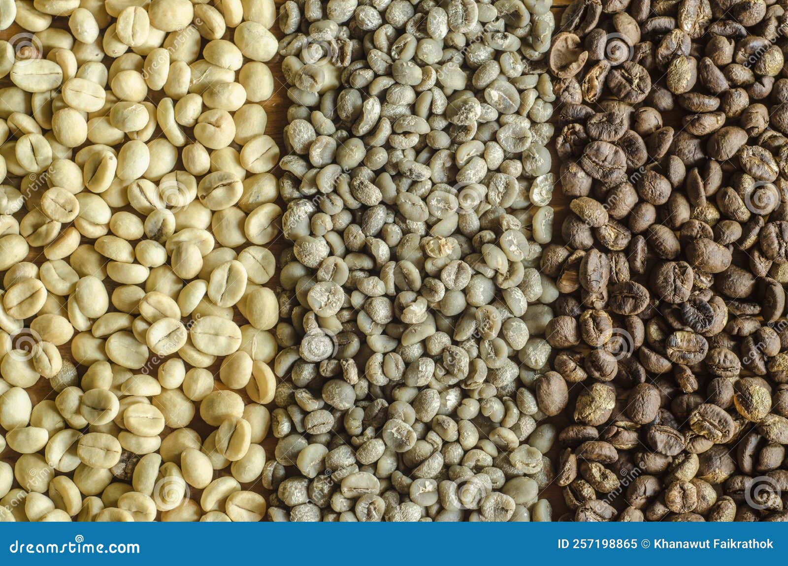 Pattern of Parchment, Raw and Roasted Coffee Beans Stock Image - Image ...