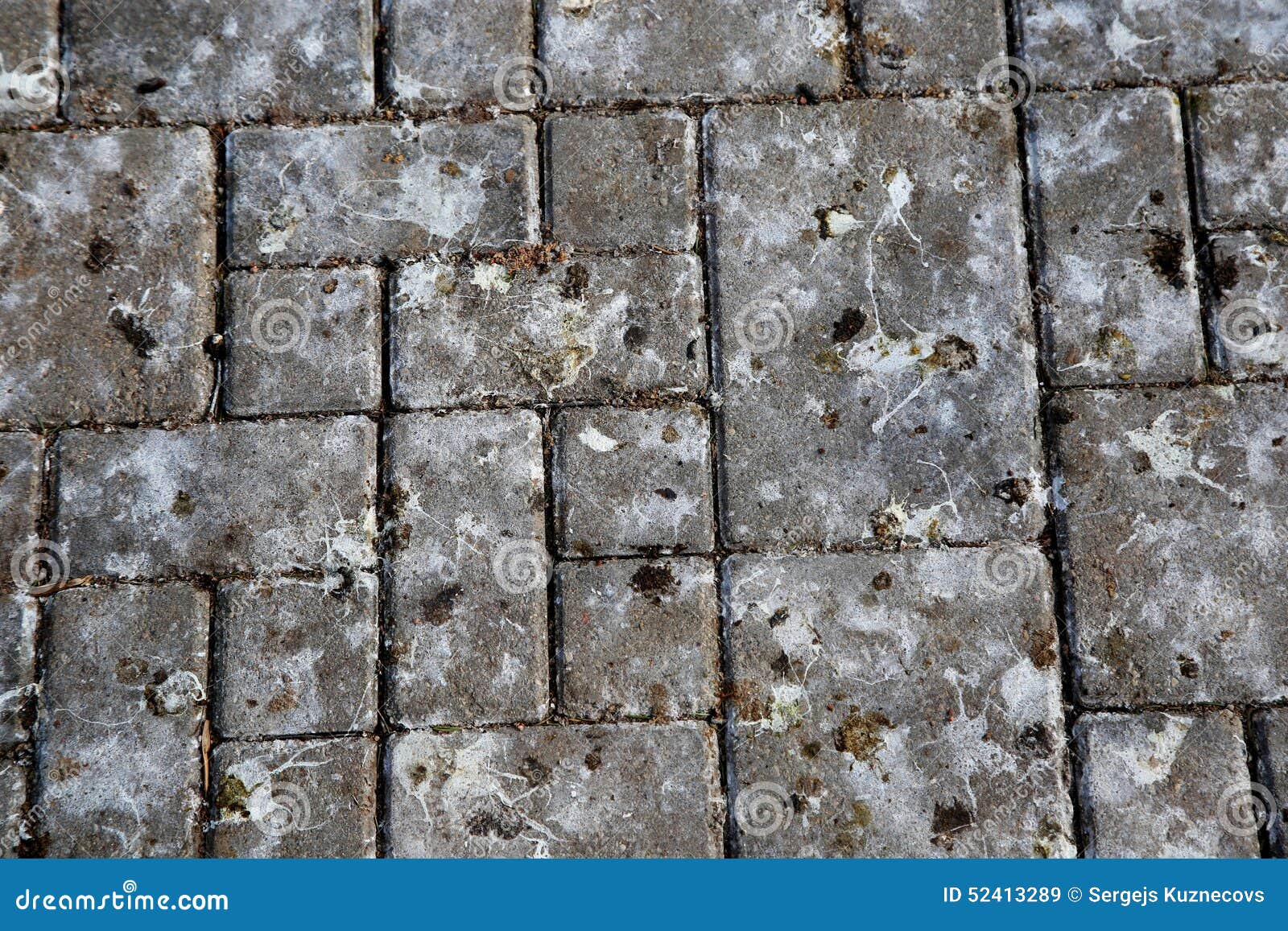 Pattern of Park Tile with Bird Poop. Texture Stock Image - Image of ...