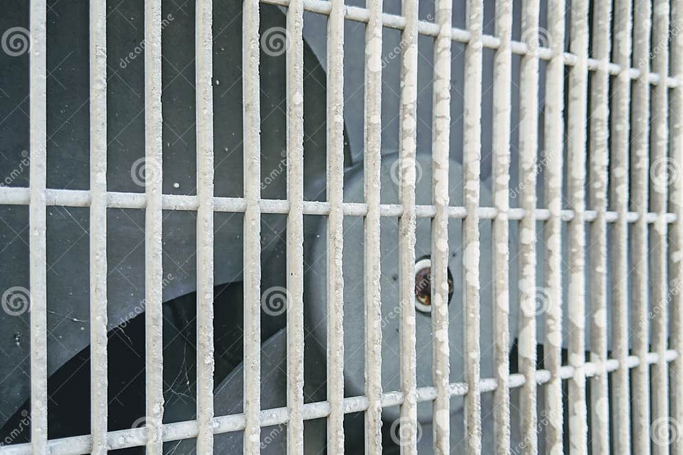 Pattern of the Partition Panel for Air Conditioning Ventilation Fans ...