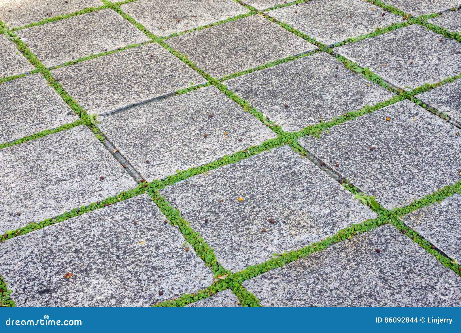 Pattern Pathway on the Lawn Stock Photo - Image of design, ornament ...