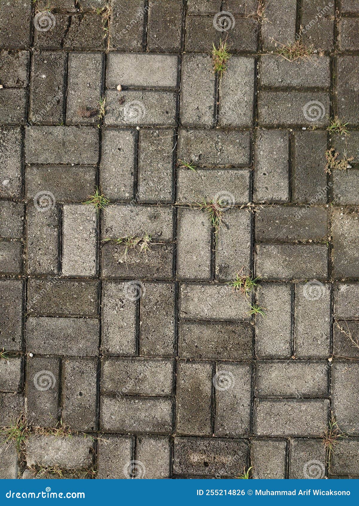 The Pattern of Paving Arrangements for the Floor of the Mosque Yard ...