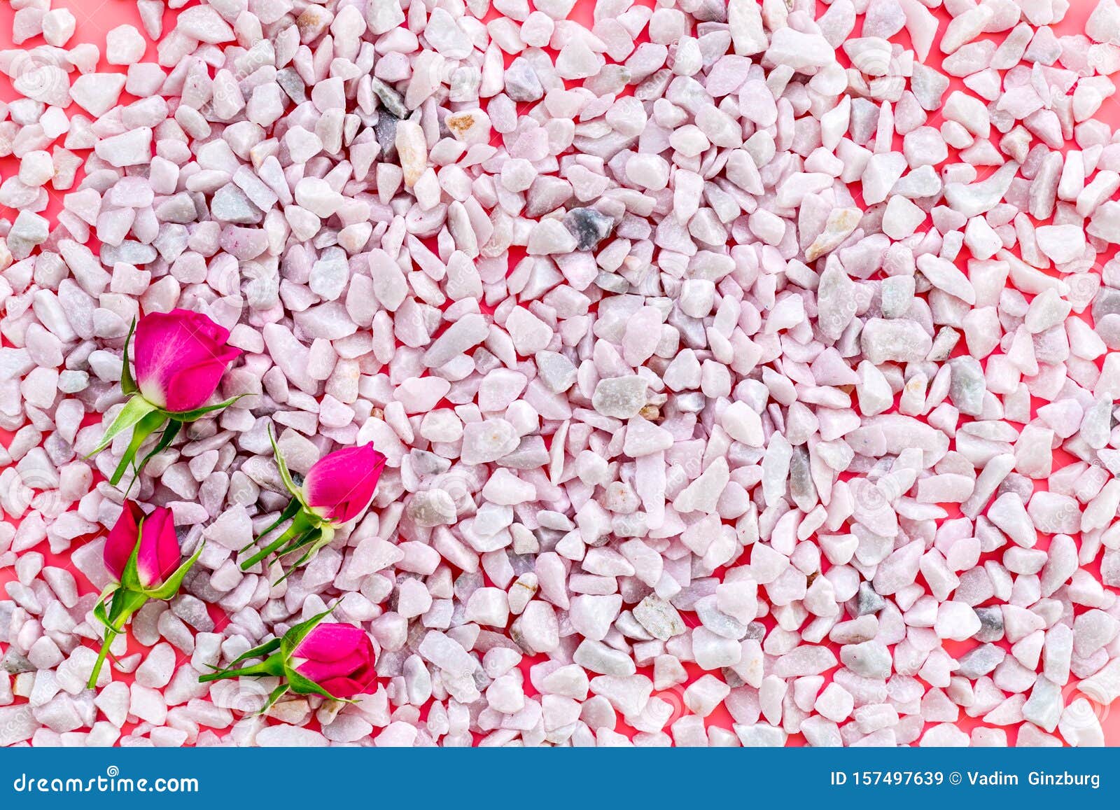 Pattern with Pebble and Flowers on Pink Background Top View Stock Image ...