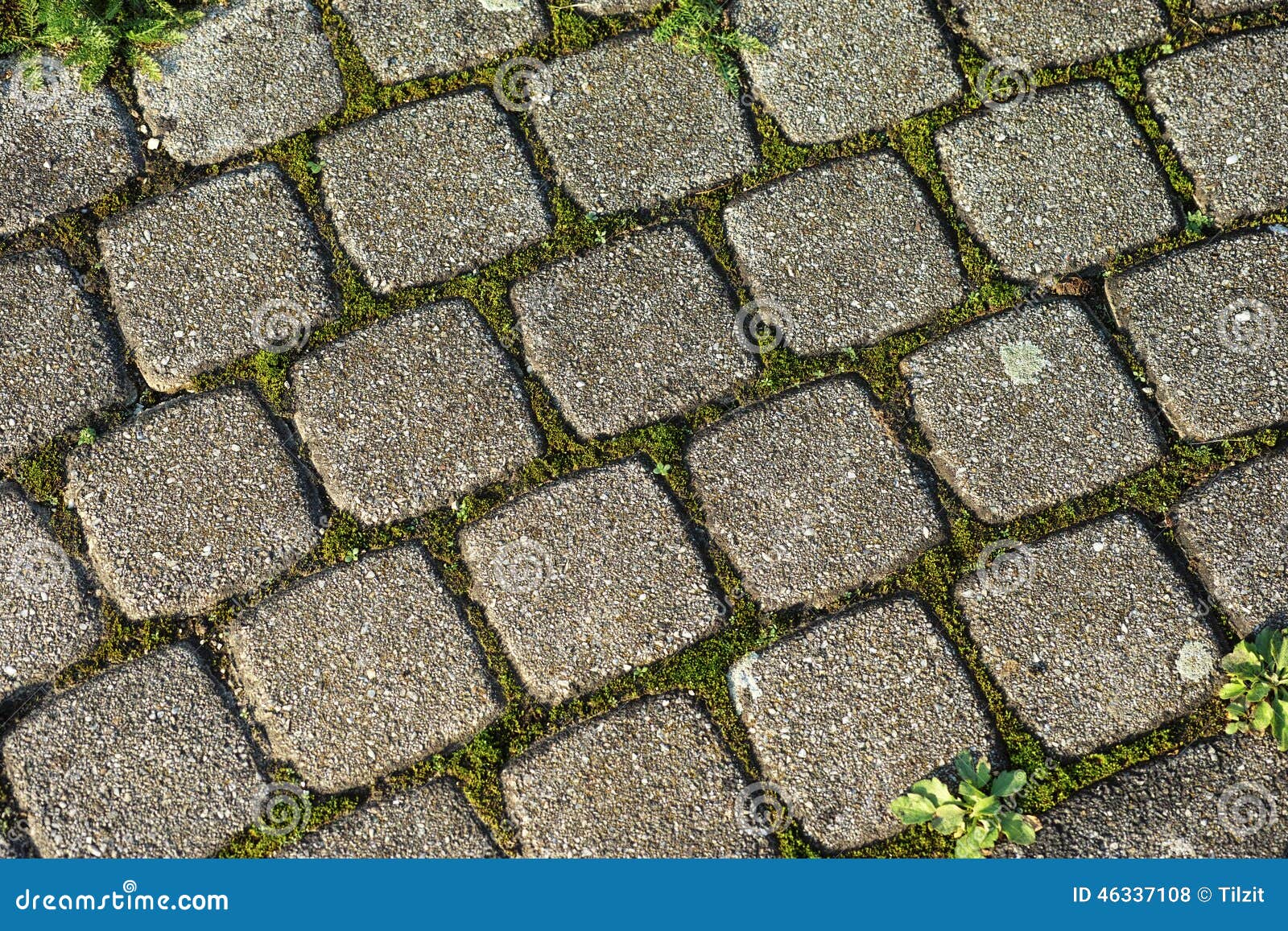 The Pattern of Pedestrian Tile Stock Photo - Image of garden, tile ...