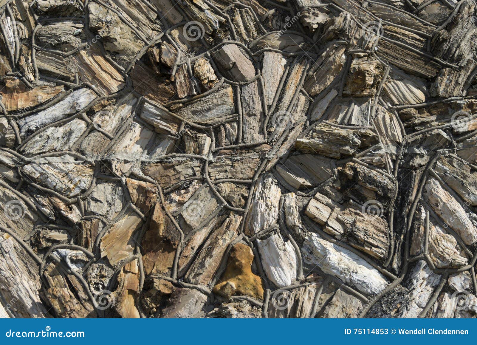Pattern of Petrified Wood Pieces Decorating a Wall Stock Image - Image ...