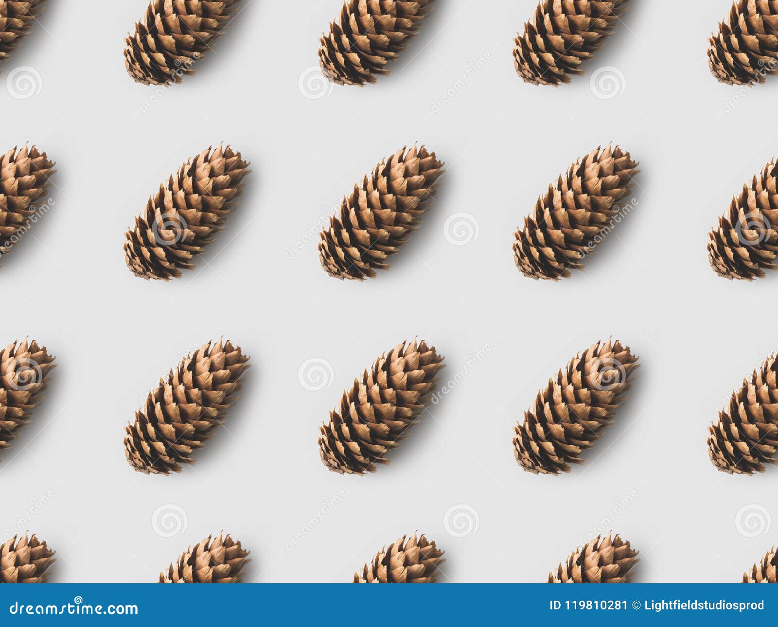 Pattern of pine cones stock image. Image of cones, floral - 119810281