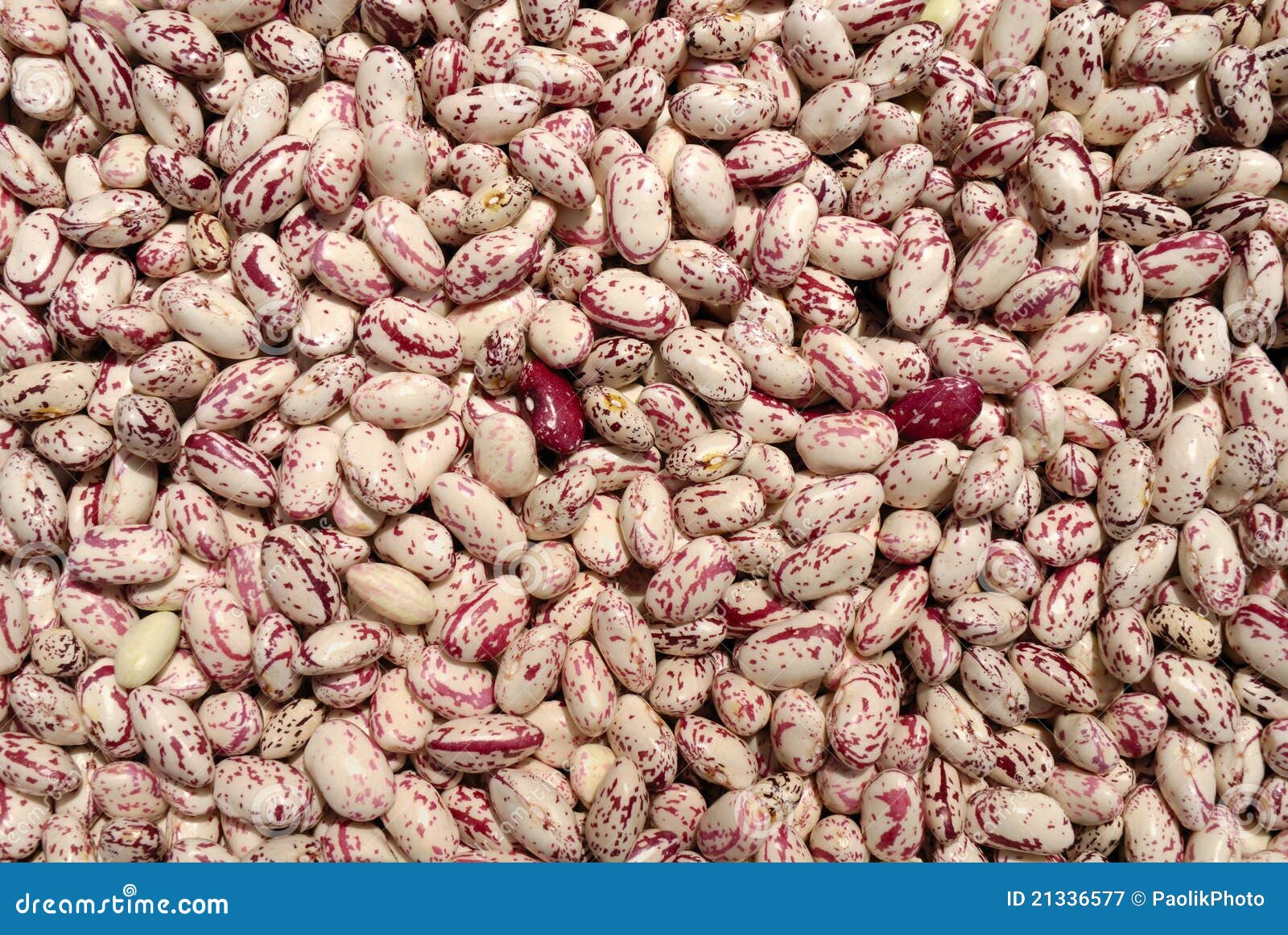 Pattern of pinto beans stock image. Image of nutrition - 21336577