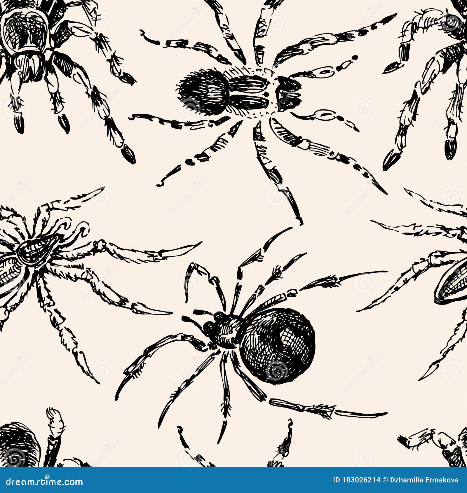 Poisonous Spiders Species Cartoon Vector Set | CartoonDealer.com #137379403