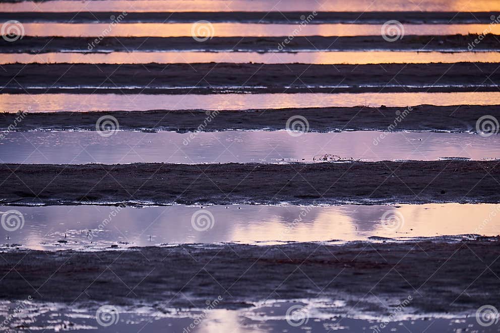 Pattern of Puddles in Front of a Lake in the Evening Creating a ...