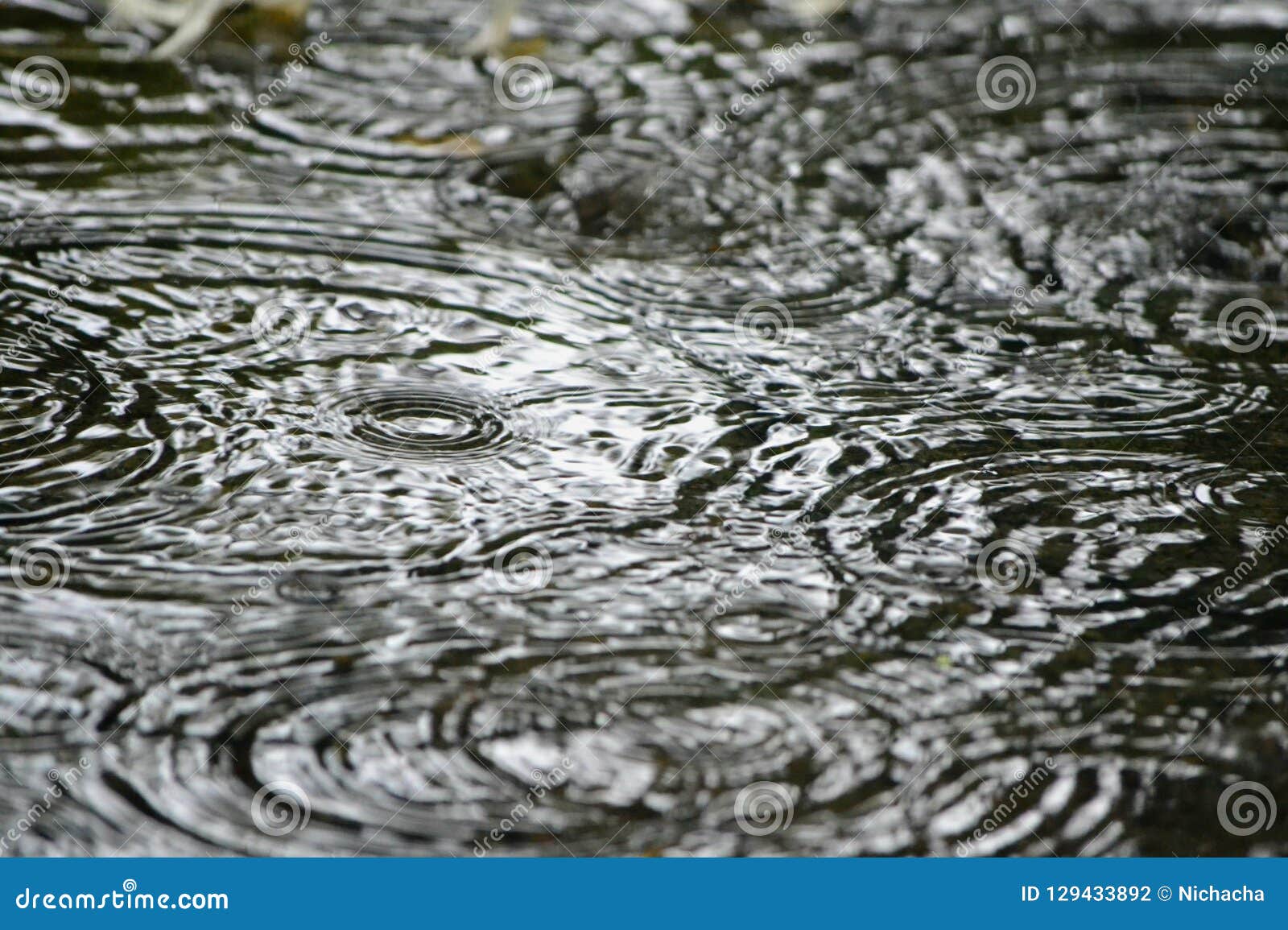 Pattern of Rainy Drop on Wet Floor. Stock Photo - Image of season ...