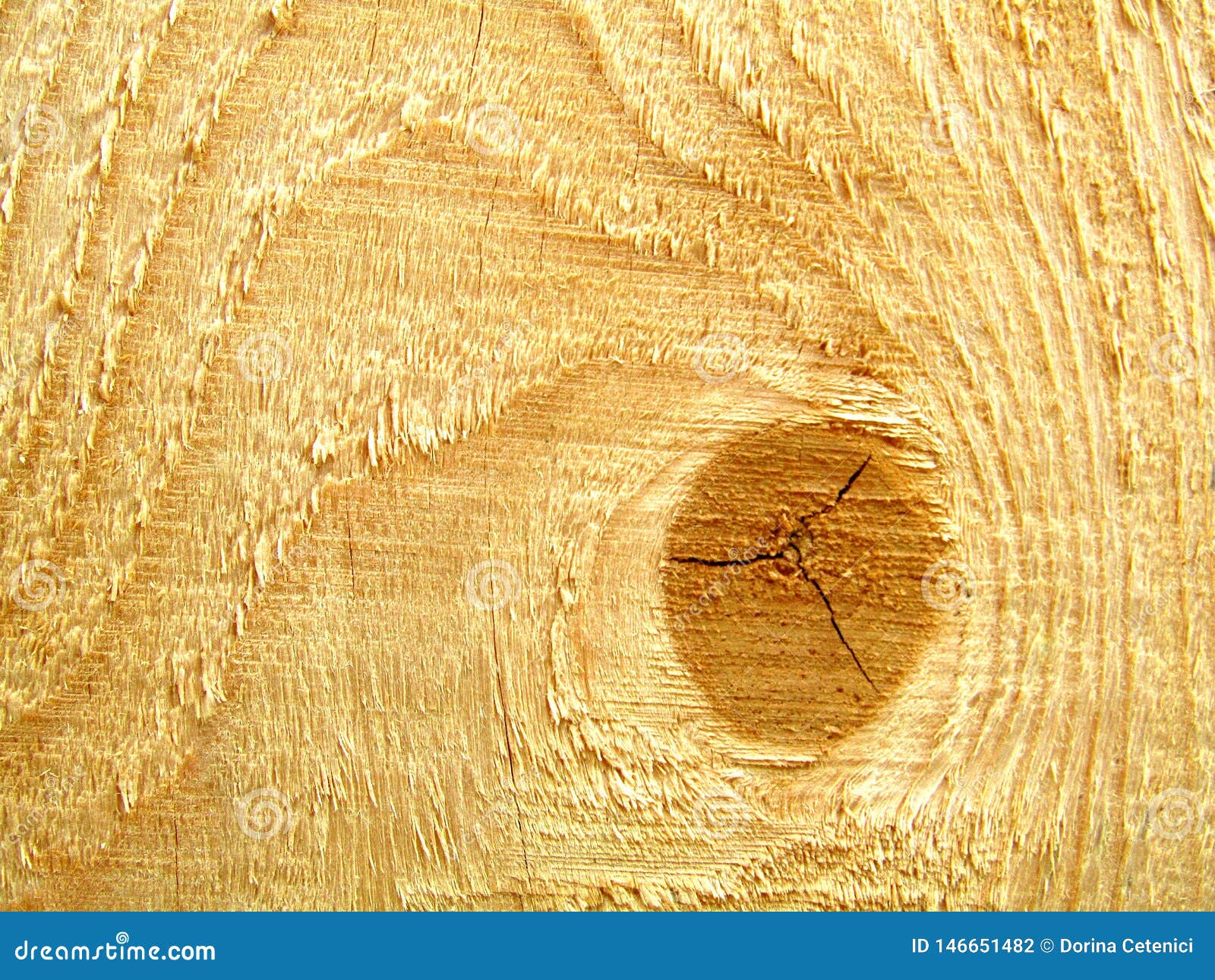 Pattern of Raw Fir Wood after Cutting. Fir Plank Details. Background ...