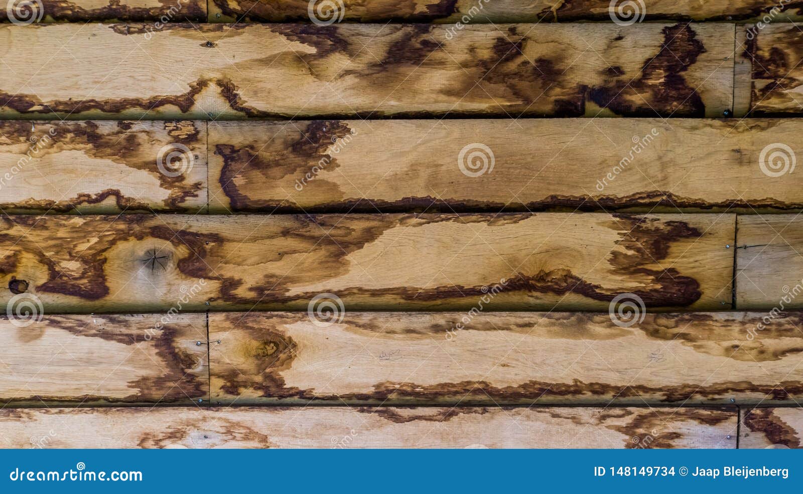 Pattern of Raw Wooden Planks in Closeup, Vintage Wooden Wall Background ...