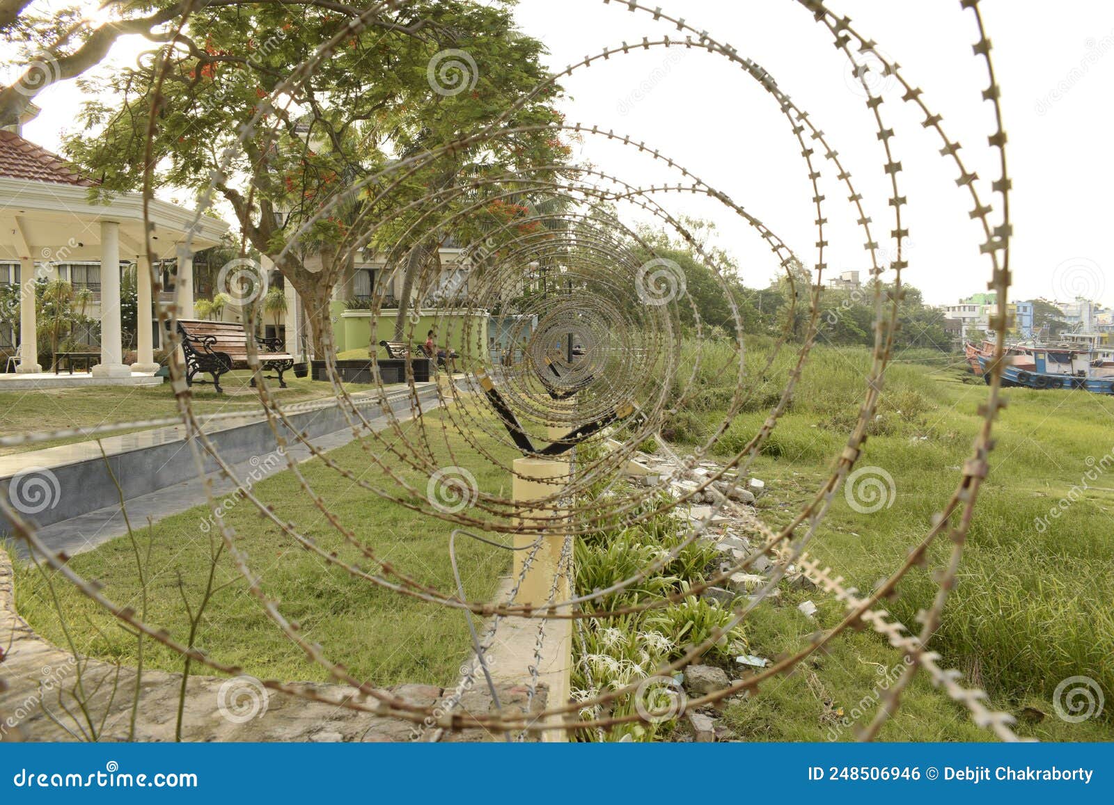 Through the Pattern of Razor Wire Stock Illustration - Illustration of ...