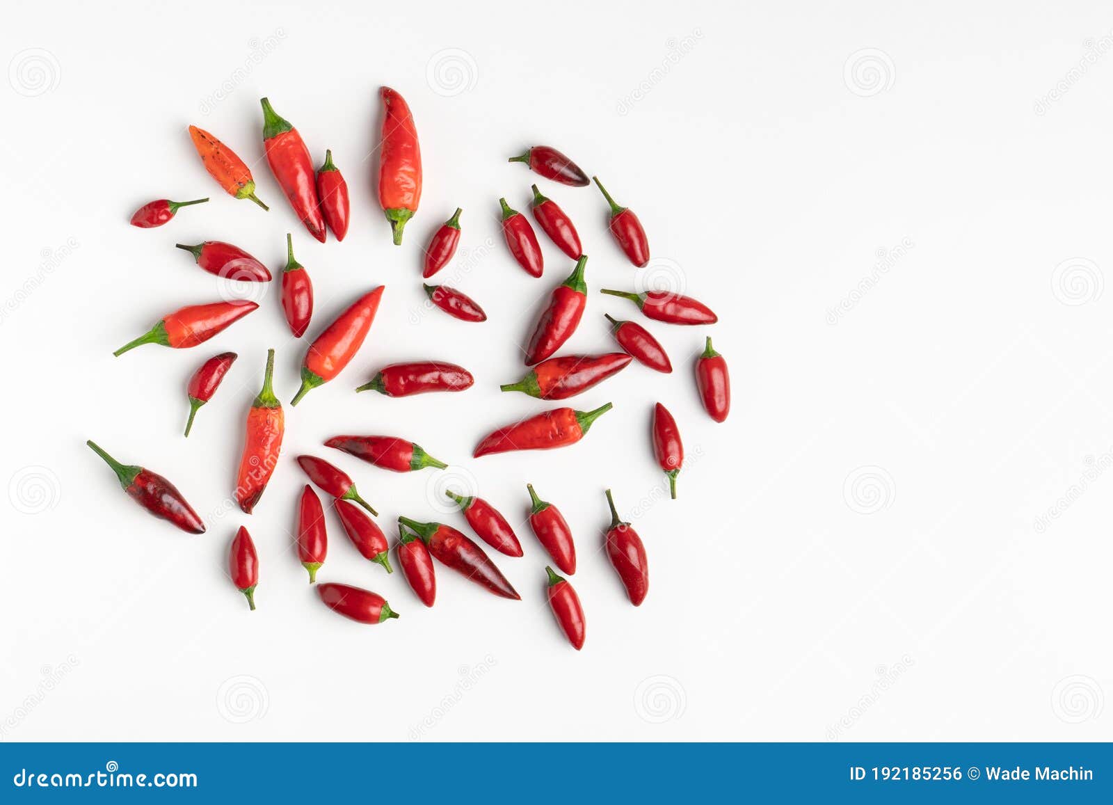 Pattern of Red Chillies on a White Background Stock Photo - Image of ...