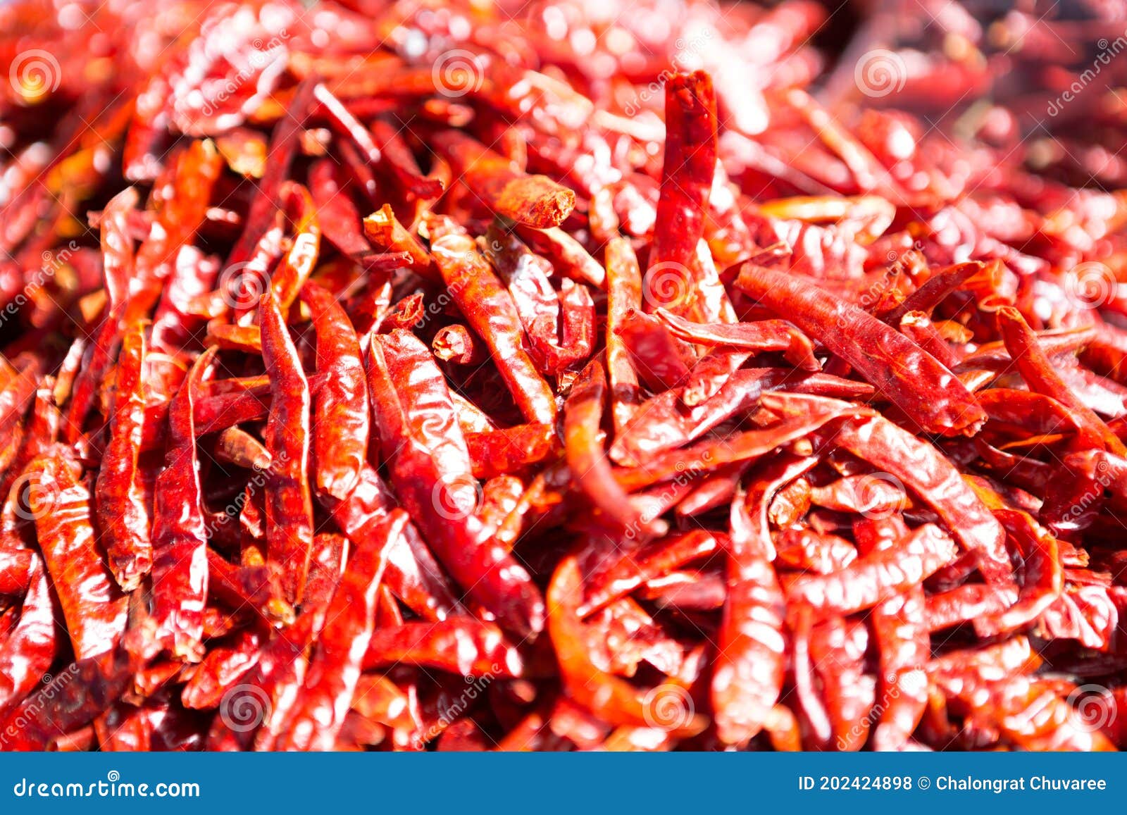 Pattern of Red Dried Thai Chilli Texture Background Stock Photo - Image ...