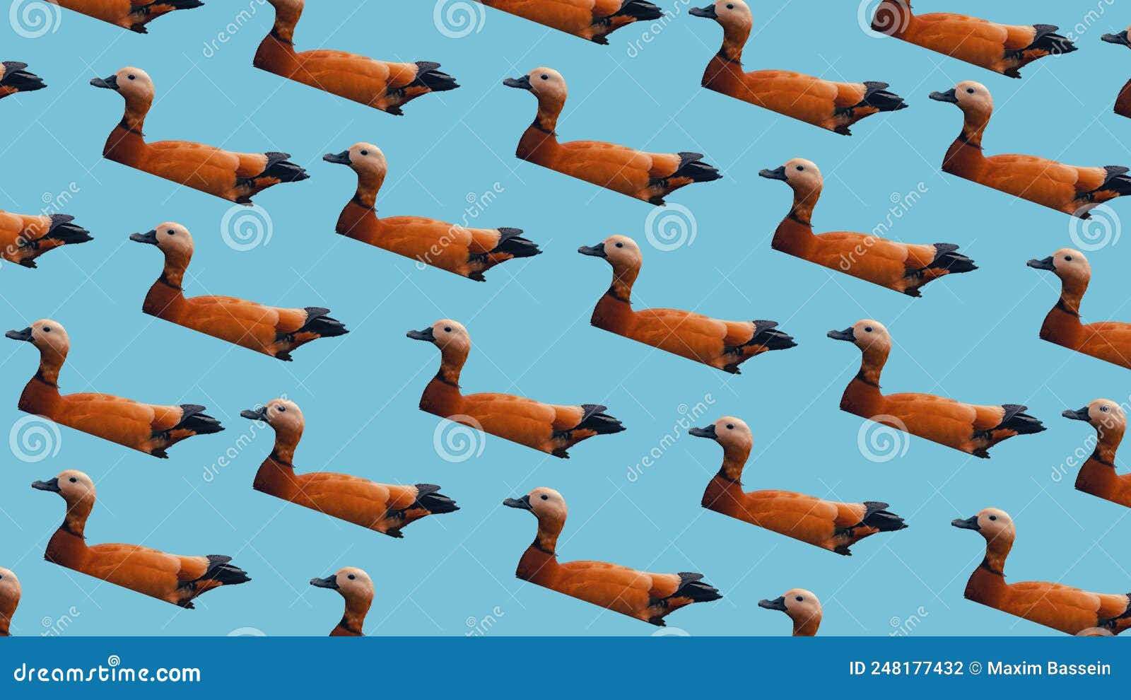 A Pattern of Red Ducks on a Blue Background. Stock Photo - Image of ...
