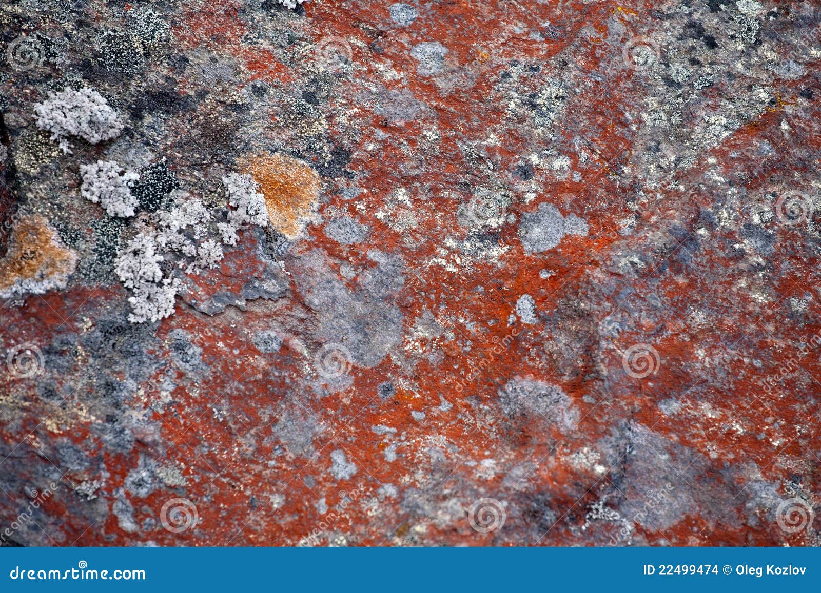 Pattern of red lichen stock photo. Image of rock, pattern - 22499474