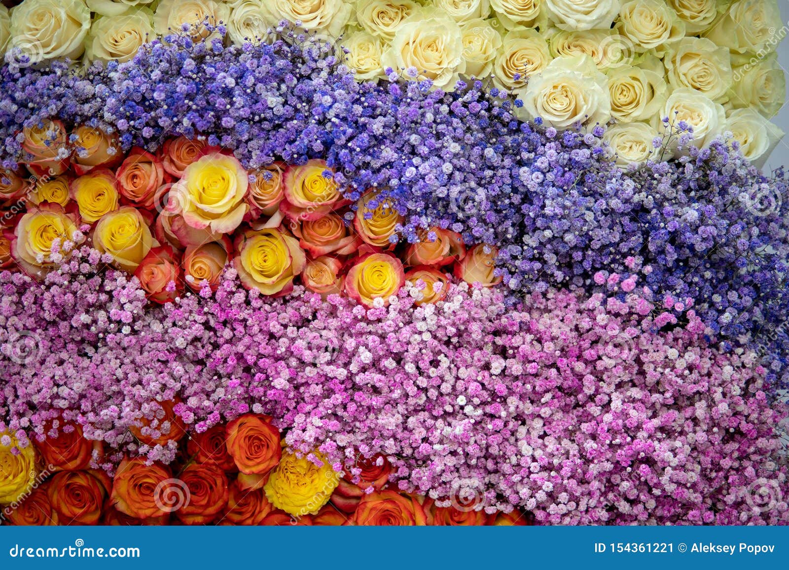 Pattern of Red, Orange, and Yellow Roses Stock Image - Image of ...