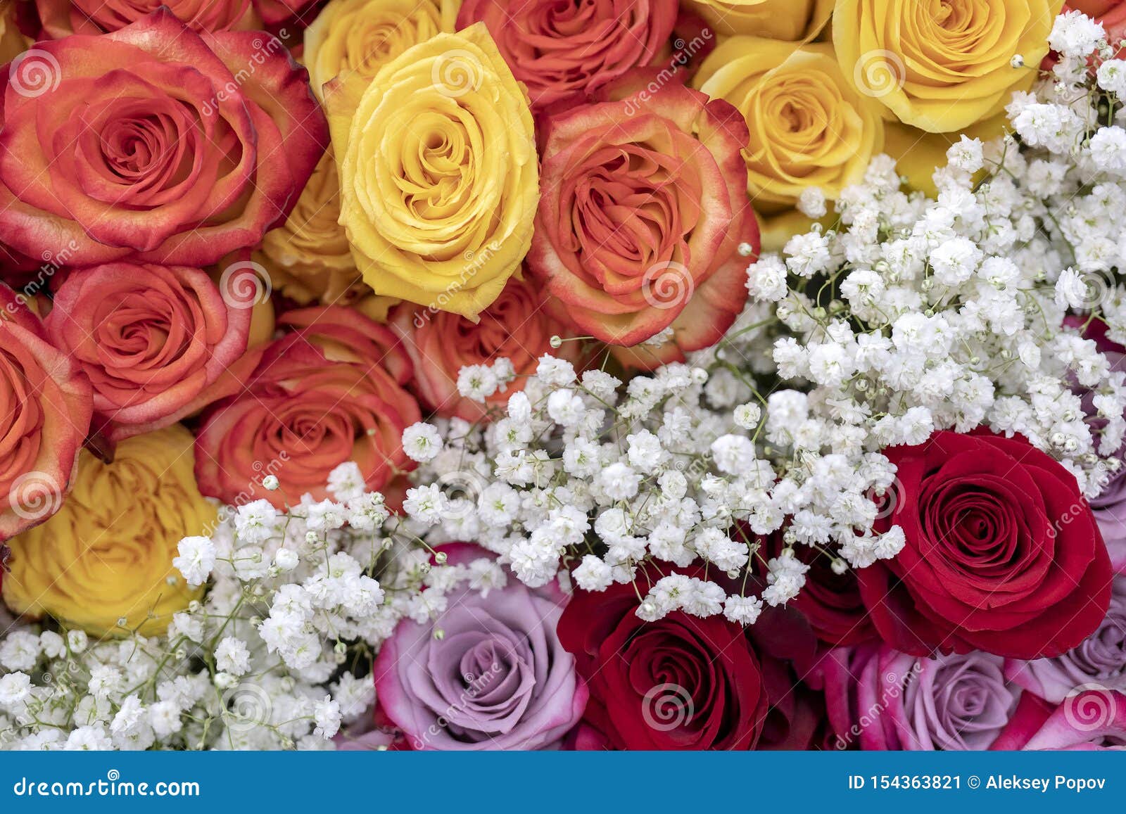 Pattern of Red, Orange, and Yellow Roses Stock Image - Image of ...