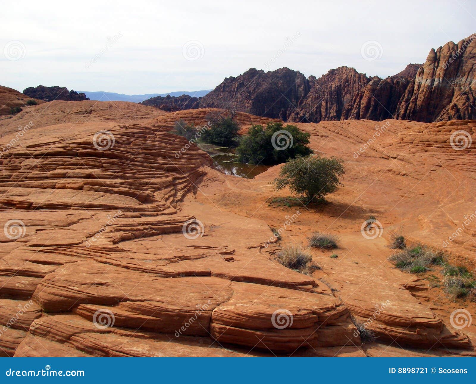 Pattern of Red Rocks stock image. Image of formations - 8898721