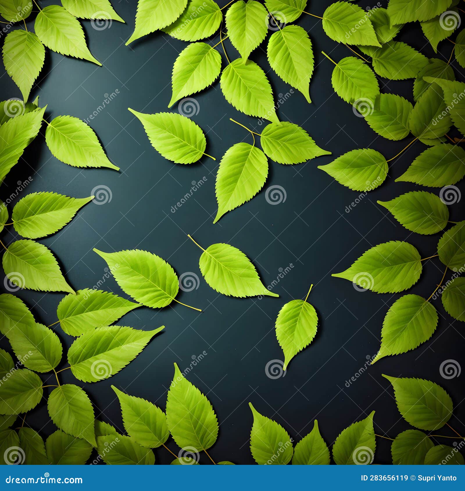 Pattern Repetition Leaf Concept Background Display Spring Summer Leaves ...