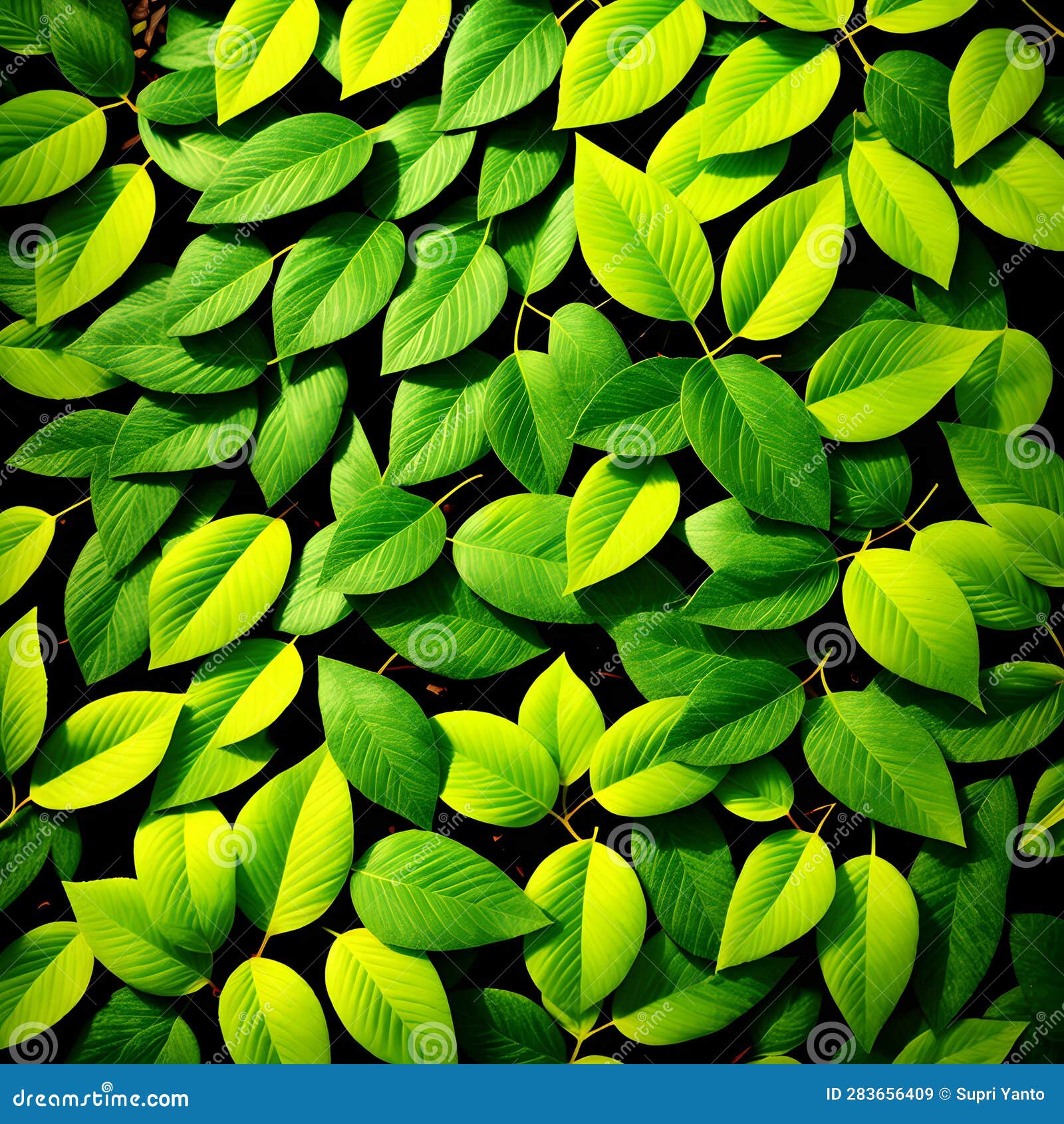 Pattern Repetition Leaf Concept Background Display Spring Summer Leaves ...