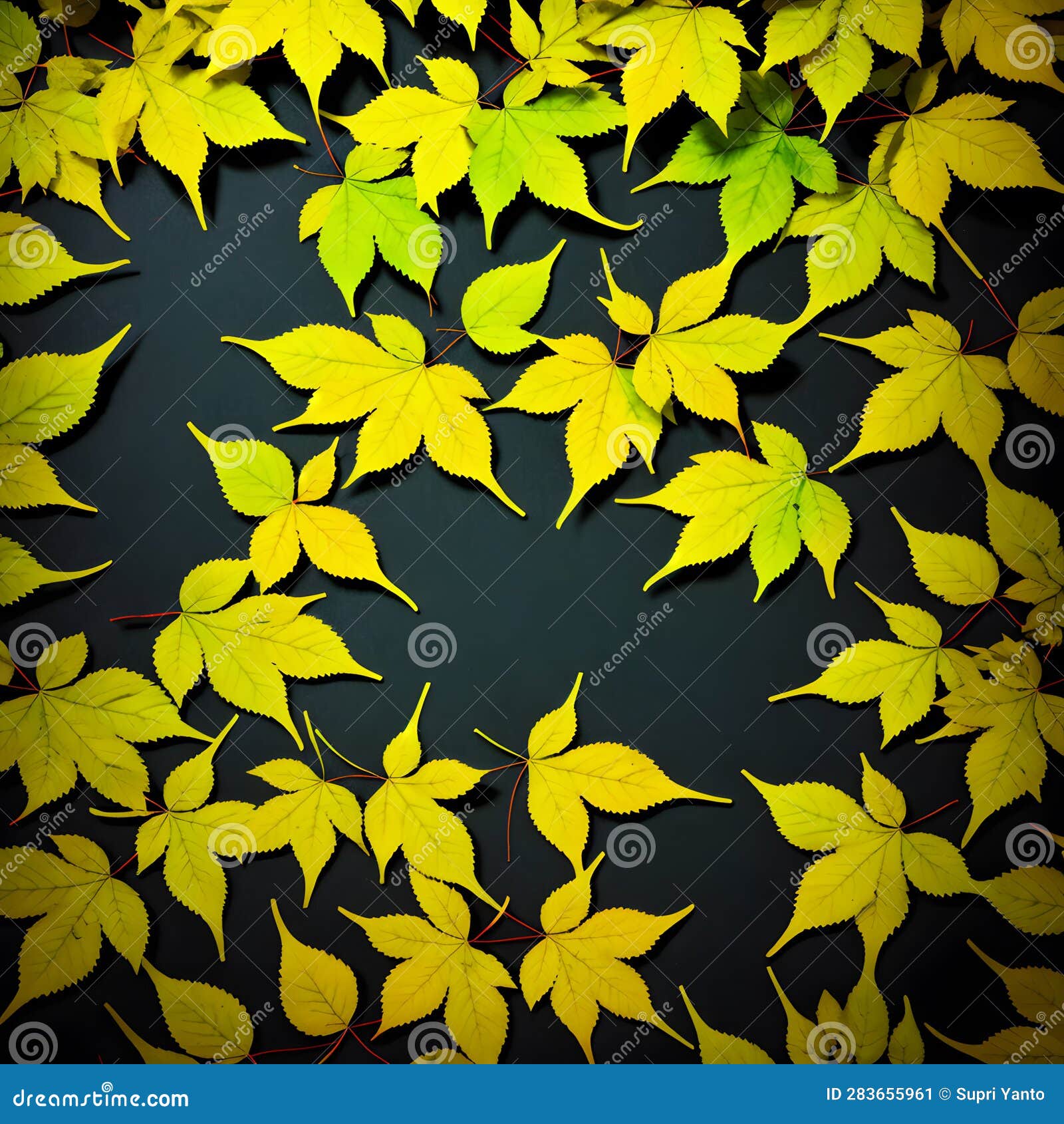 Pattern Repetition Leaf Concept Background Display Spring Summer Leaves ...