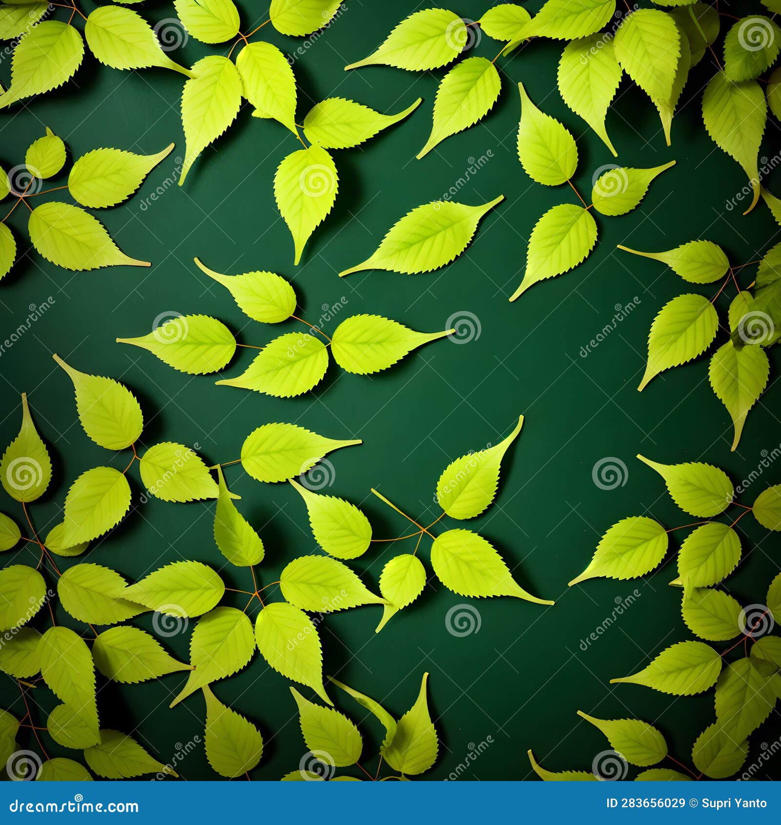 Pattern Repetition Leaf Concept Background Display Spring Summer Leaves ...