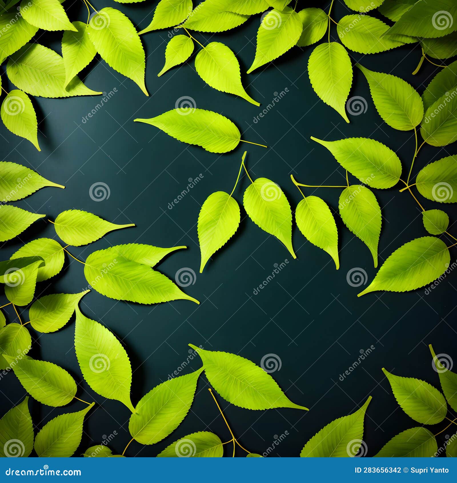 Pattern Repetition Leaf Concept Background Display Spring Summer Leaves ...