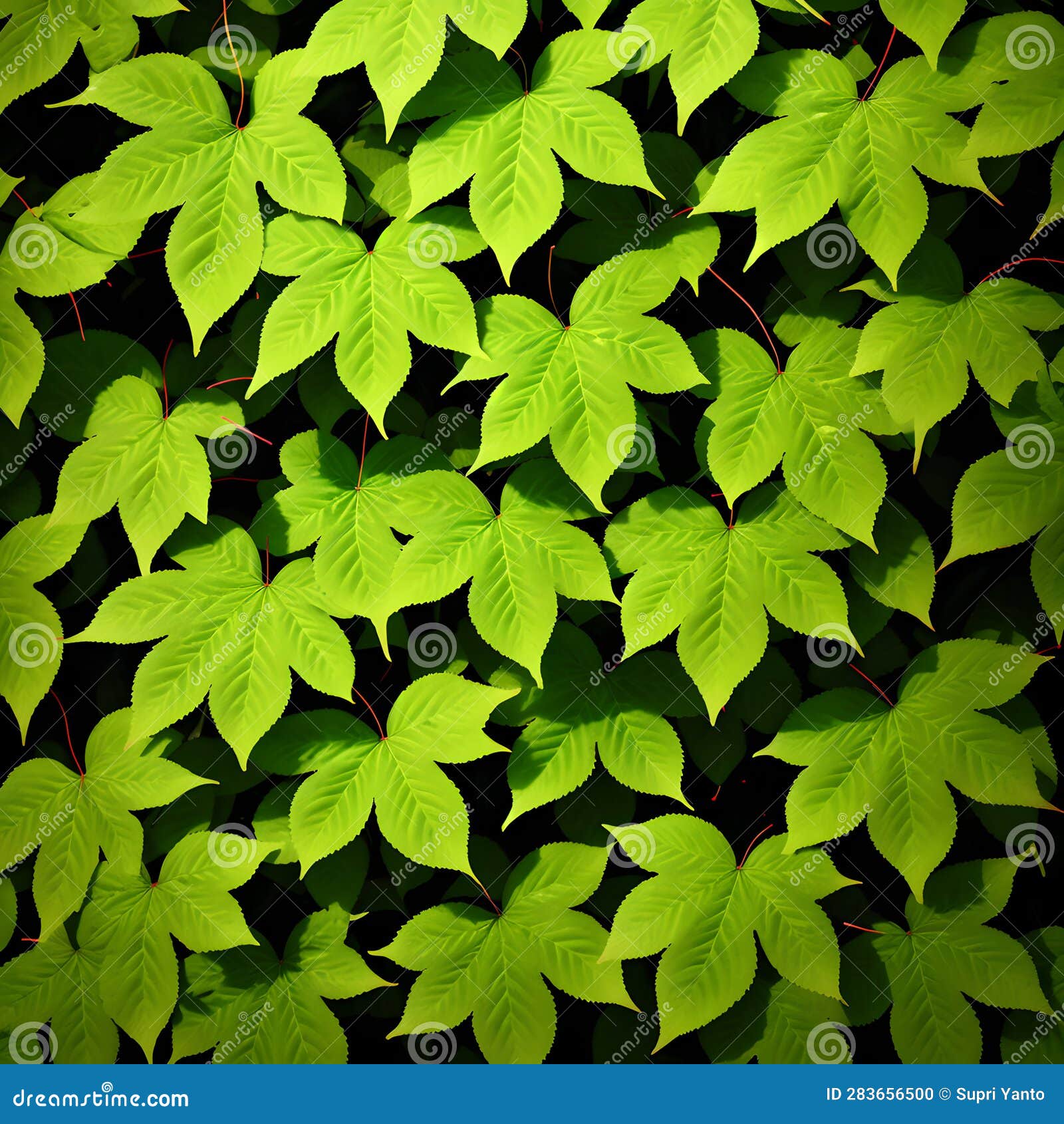 Pattern Repetition Leaf Concept Background Display Spring Summer Leaves ...