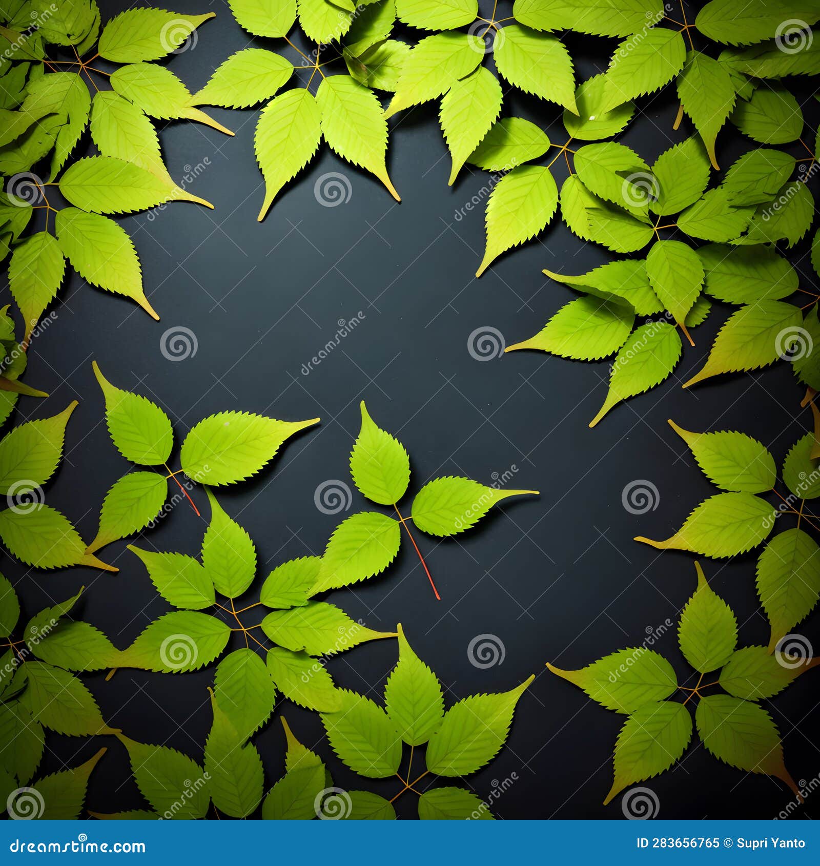 Pattern Repetition Leaf Concept Background Display Spring Summer Leaves ...
