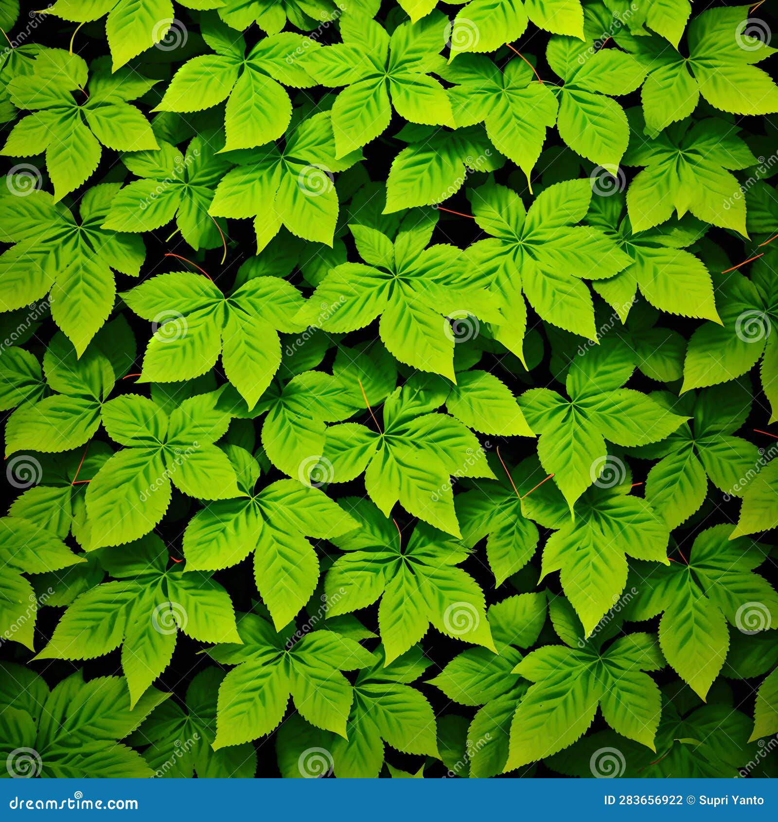 Pattern Repetition Leaf Concept Background Display Spring Summer Leaves ...